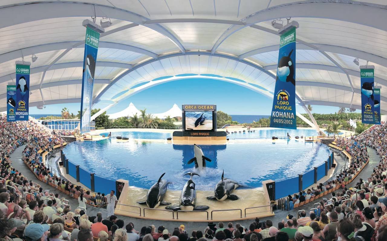 Loro Park Teneriffa Preise